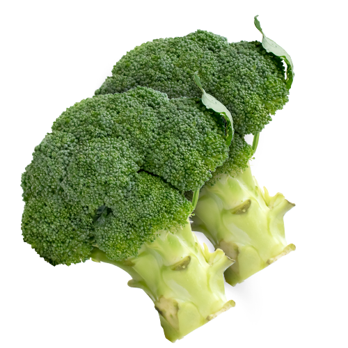 Pack 2u. brocoli envasado | Fruta y verdura Cal Fruitós