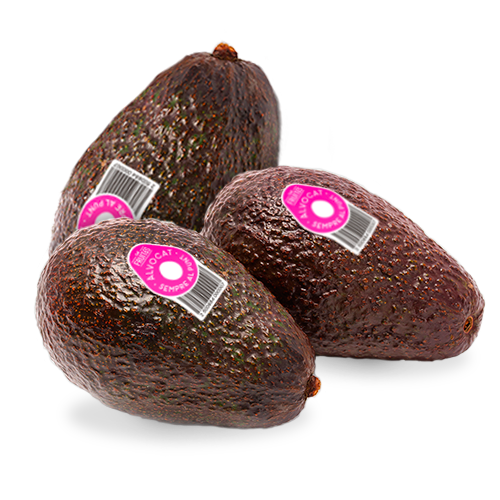 Pack 3u. aguacate extra cal fruitós | Fruta y verdura Cal Fruitós
