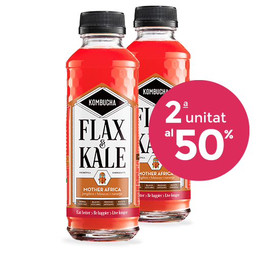 Pack 2 kombucha mother africa 400ml flax&kale | Fruta y verdura Cal Fruitós